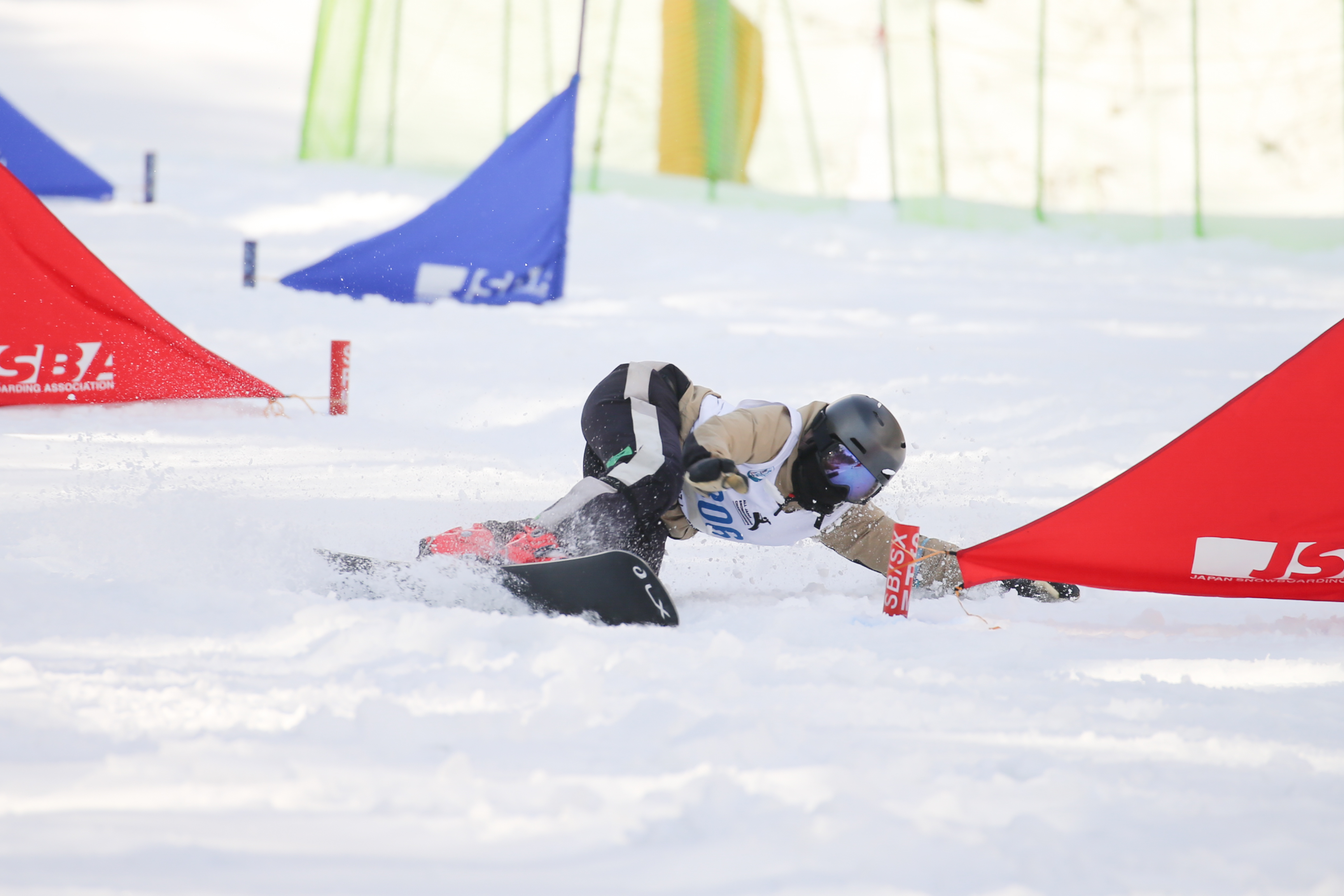 KATO Aoi｜MEMBER｜MEMBERS｜PSA ASIA